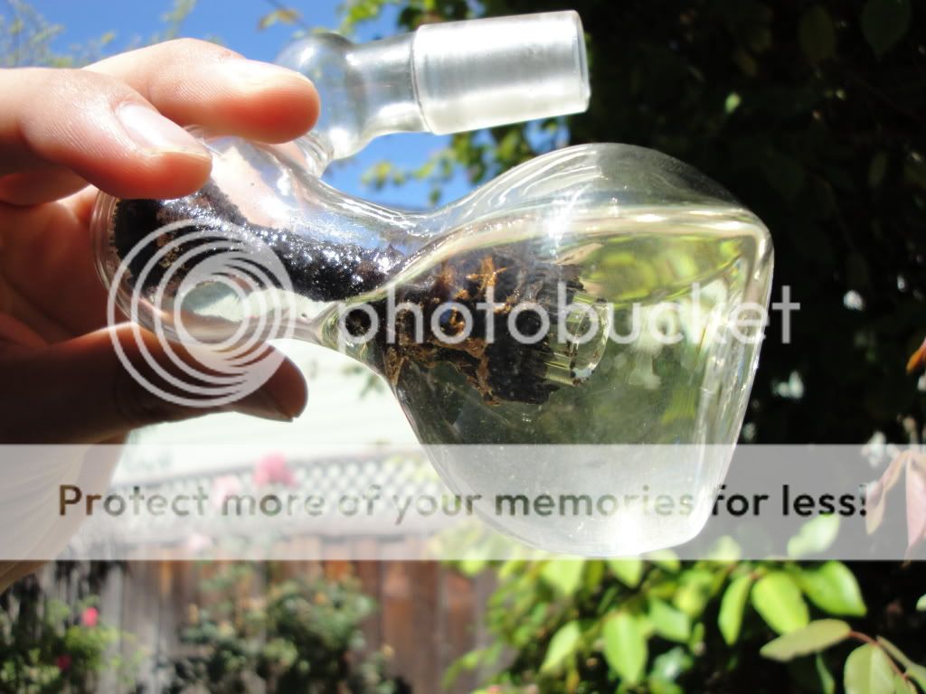 Weird Bong Gunk!!! Has Anyone Seen this stuff before??!! | Grasscity ...