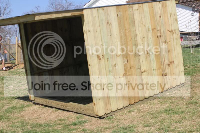 Our weekend goose shed build. | BackYard Chickens - Learn How to Raise ...