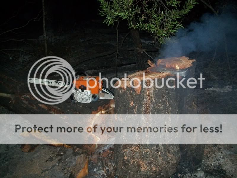 Looking at a new Dolmar 9010... | Arborist, Chainsaw & Tree Work Forum